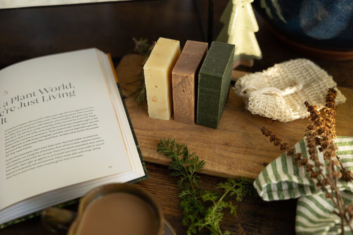 Holiday Soap Pack - Grounded Sage Skincare | Grounded Sage Skincare